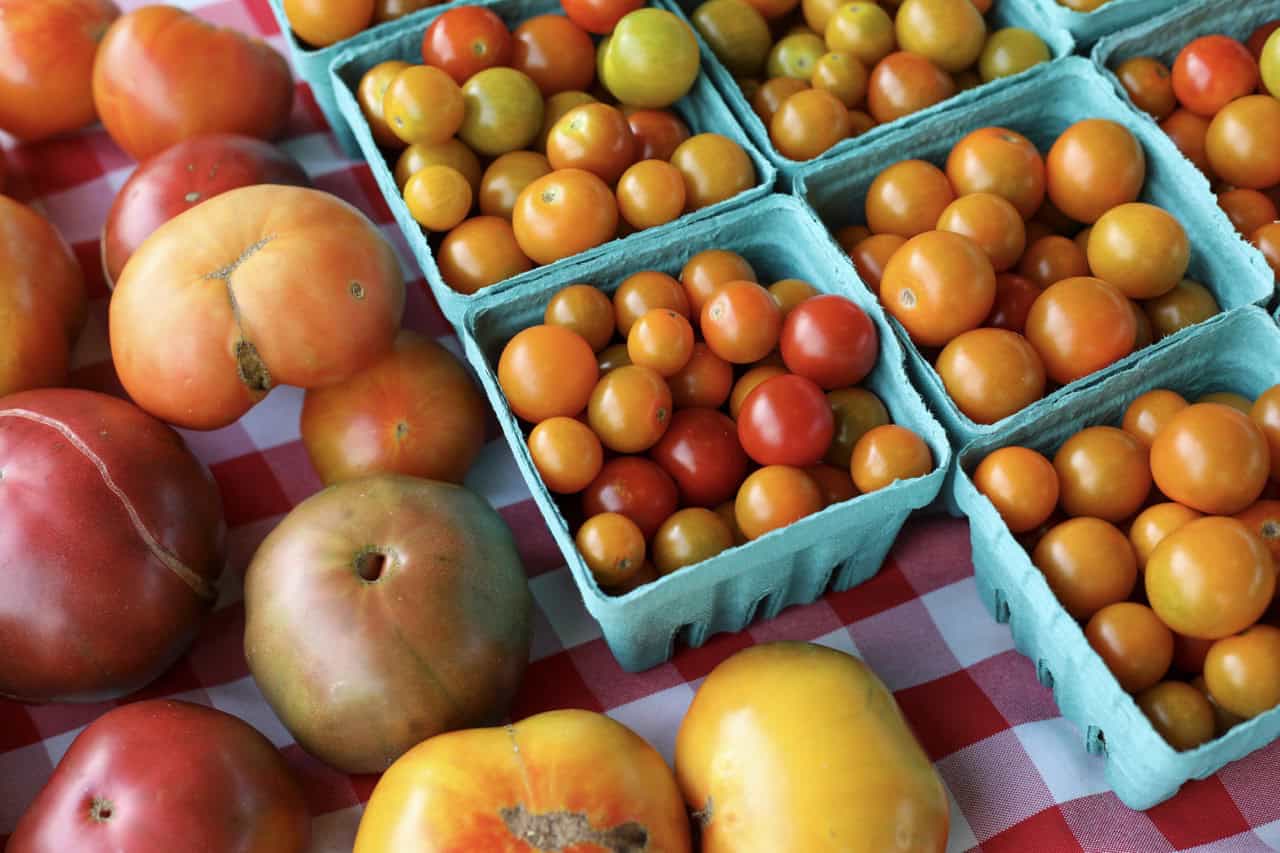 4th Annual Tomato Fest at Harrisonburg Farmer's Market - vafoodie.com